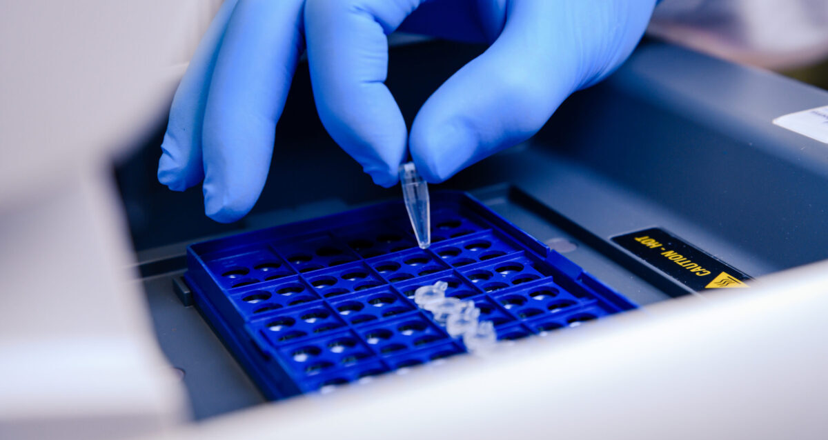 Laboratorium Weterynaryjne - Diagnostyka Laboratoryjna dla Weterynarzy ...